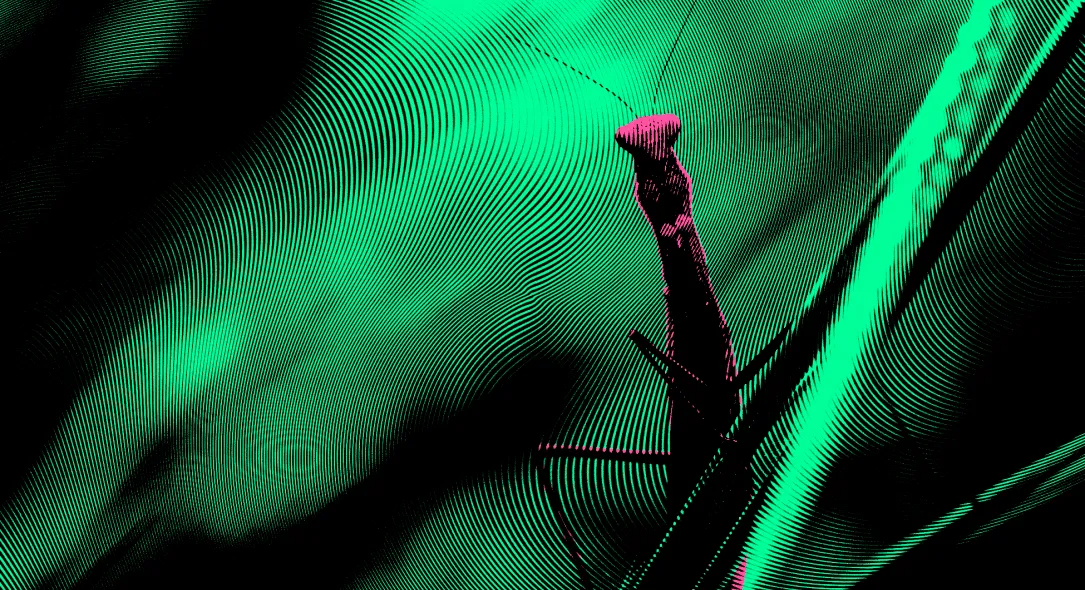 Praying Mantis APT targets IIS servers with ASP.NET exploits | The Record from Recorded Future News