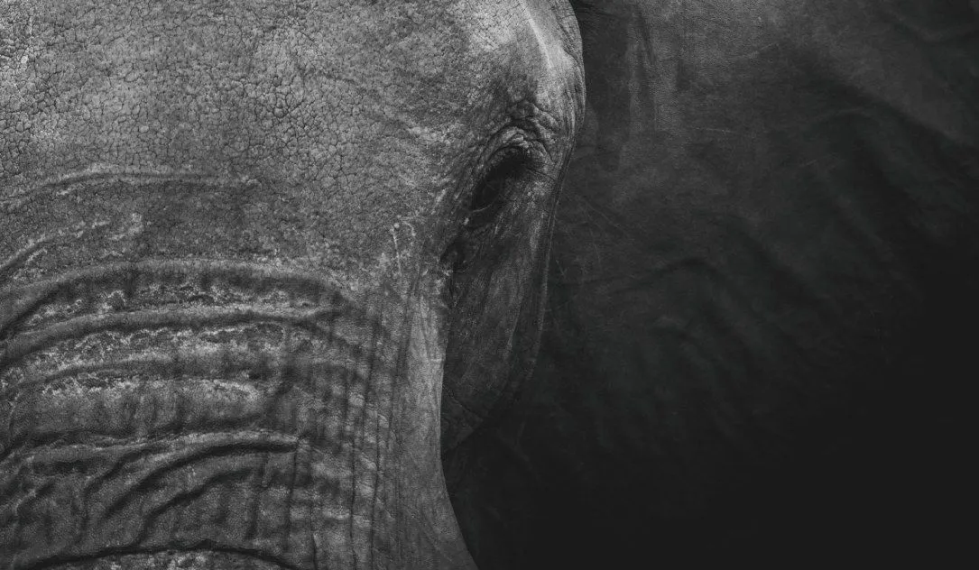 Jailed Indian activist was targeted by state-linked hacking group ...