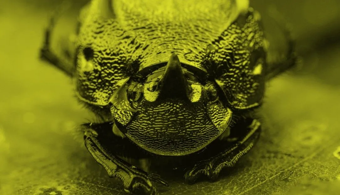 Researchers tie Ukraine cyber intrusion attempt to suspected Chinese ...