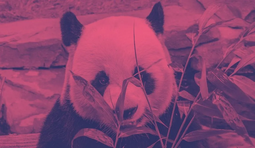 Chinese-speaking hackers compromised Tencent app to spy on nonprofit ...